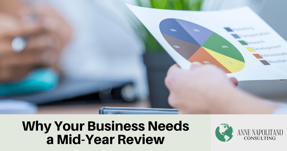 Mid-Year Review: Why Your Business Needs One - Anne Napolitano ...